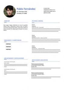 Formato De CV Normal - Modelos De CV